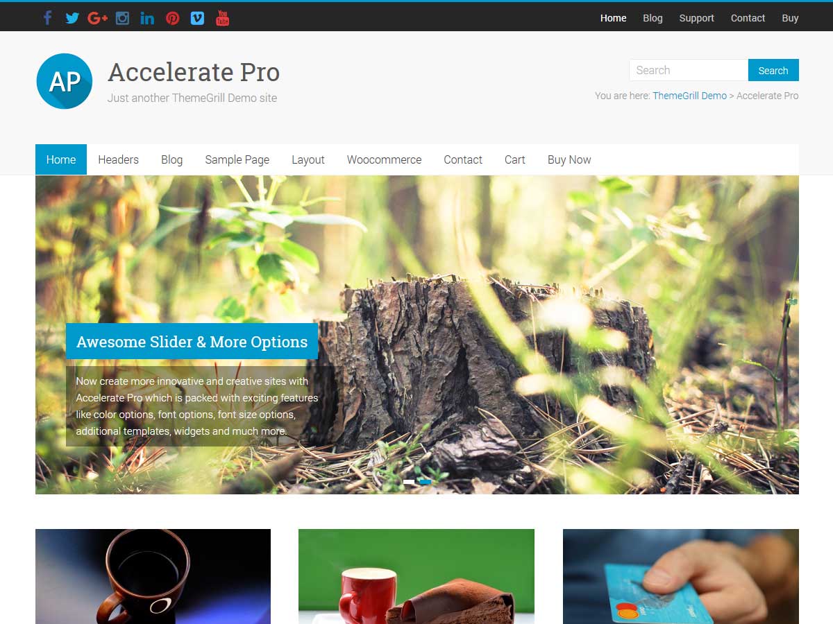 Accelerate Demos – ThemeGrill Demos
